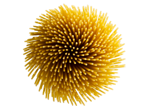 Home - Royal Pasta Factory